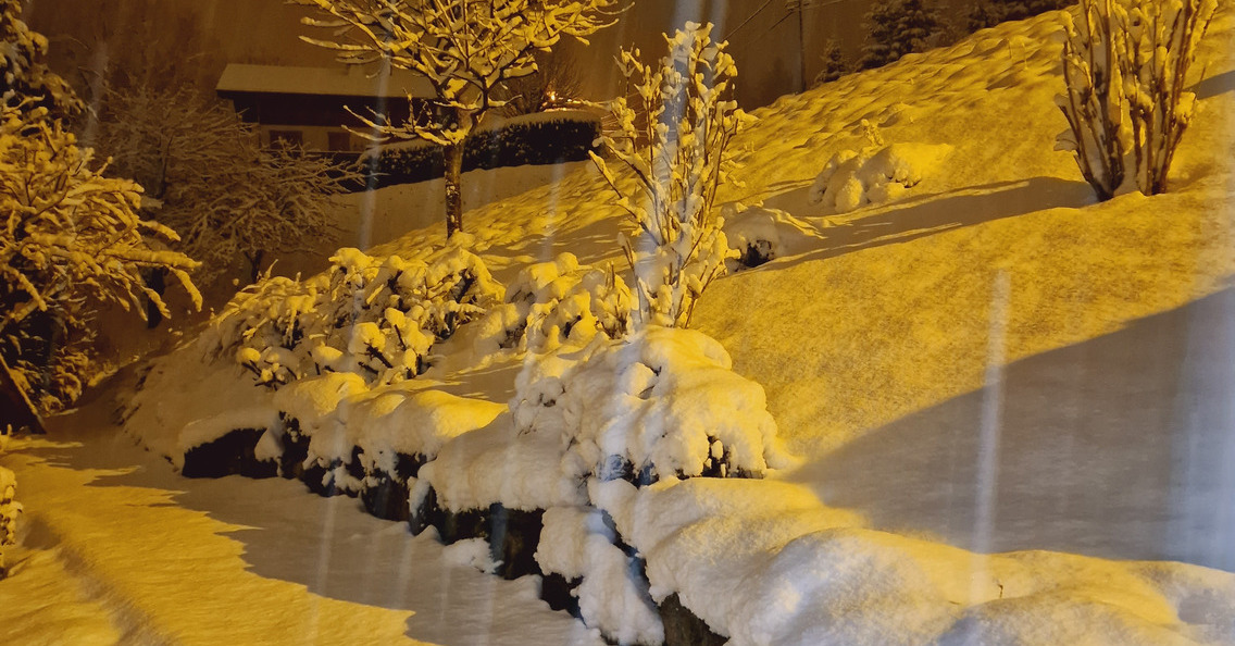 Oh la belle gimove ?, Combloux le 16 janvier 2023 par meremicheleprod