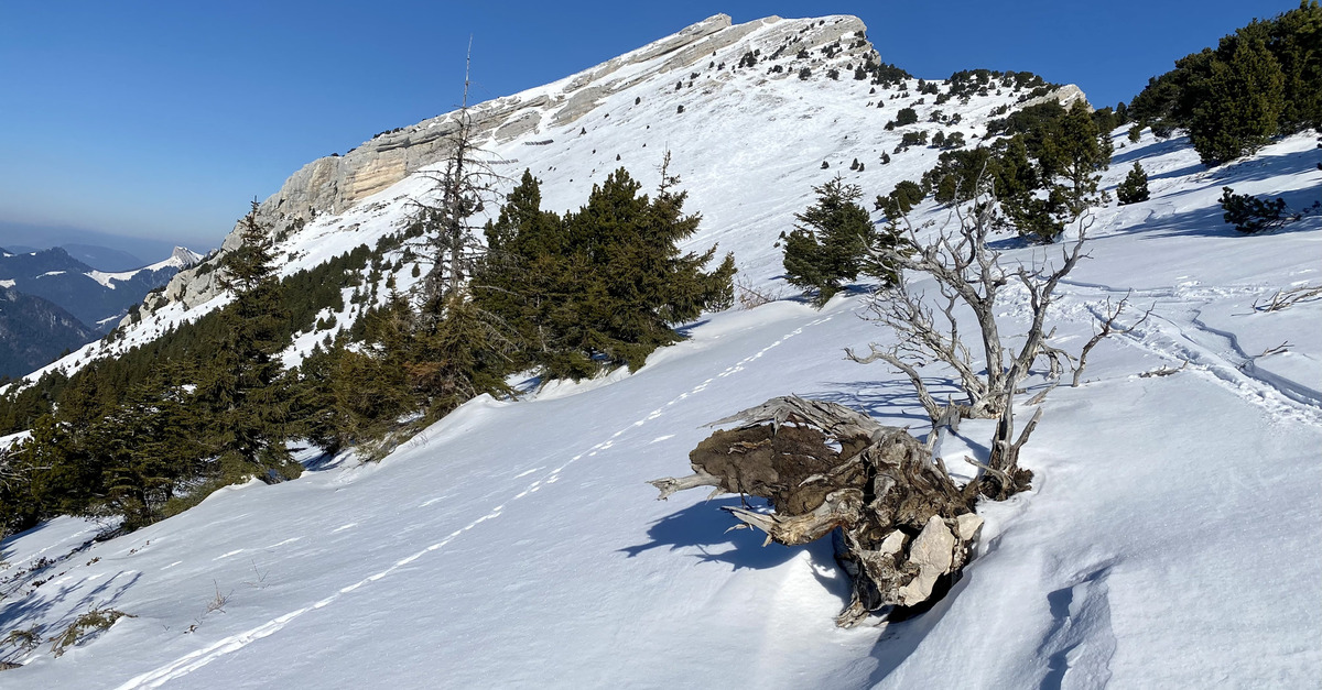 Col de Porte : Chamechaude carton, carrelage, caillasses et poudre...