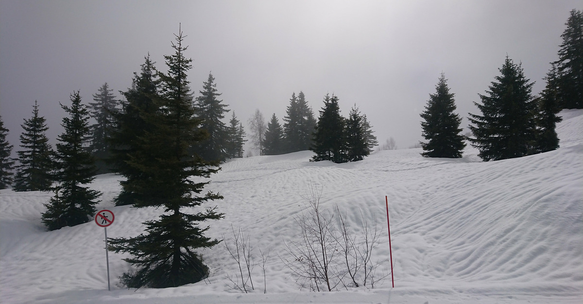 Les Saisies : Toutes les méteos en une sortie | Skipass LIVE