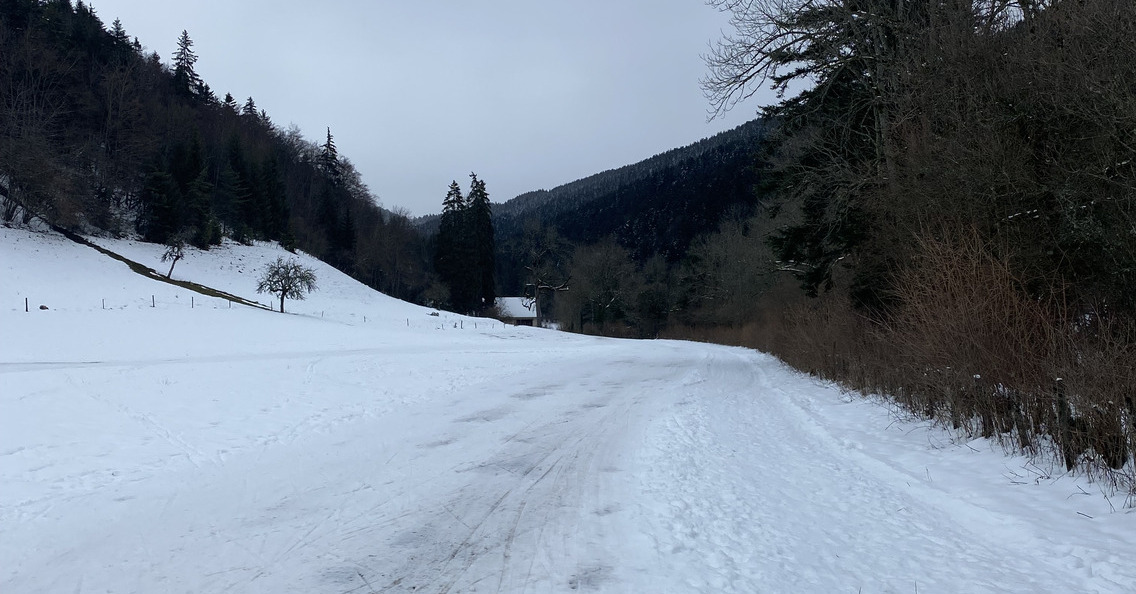 Le Sappey en Chartreuse : Première au Sappey en Skating depuis 2 ...