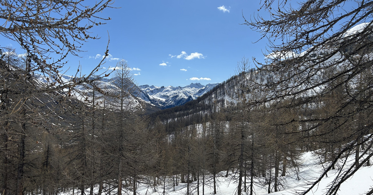 Mercantour : Une cime de la Bonette et sa table d'orientation (vidéo)