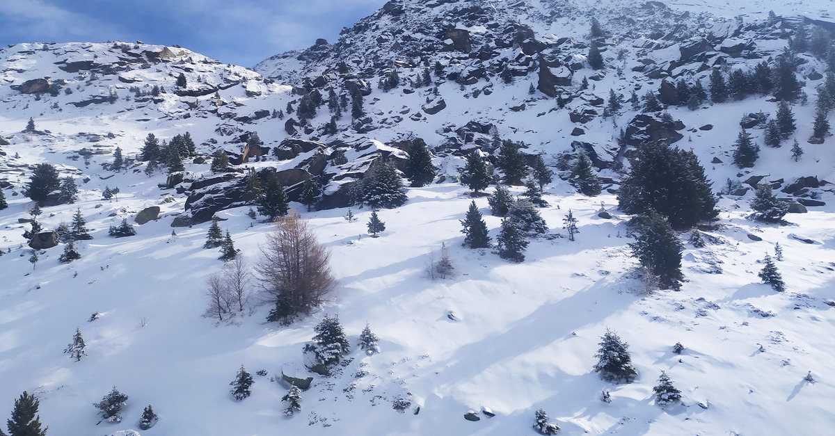 Orelle : 15 de fraiche pour qui le veut bien (vidéo)