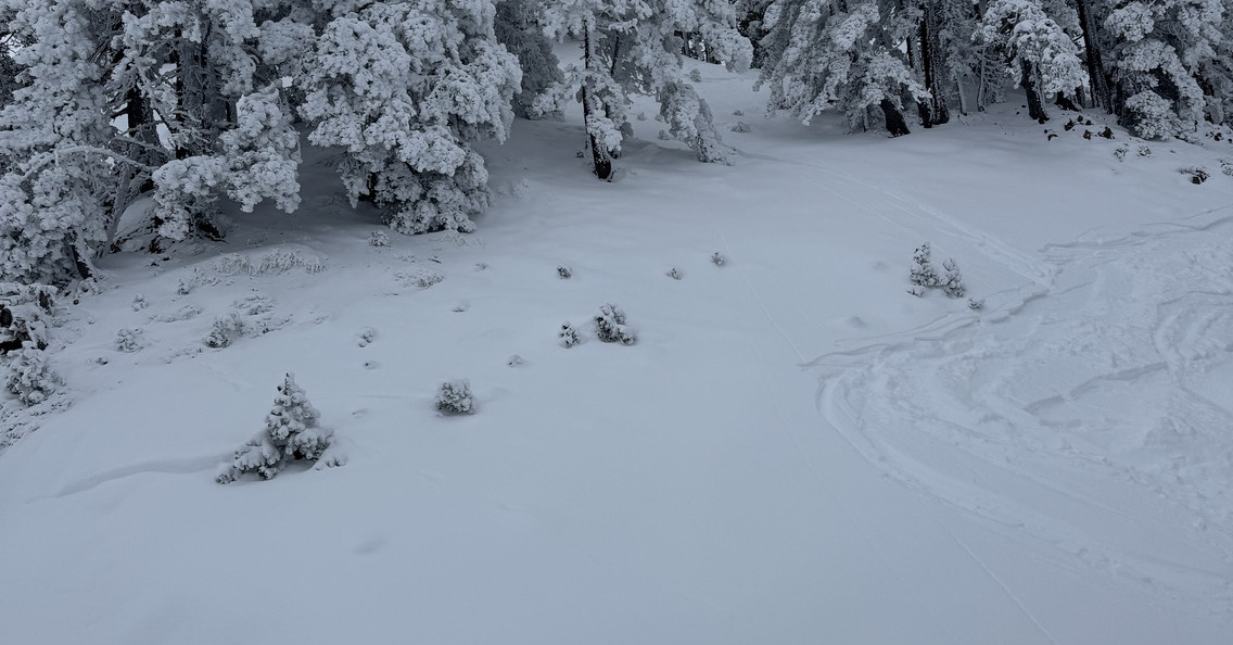 Baqueira / Beret : Cache cache avec la lumière 💡