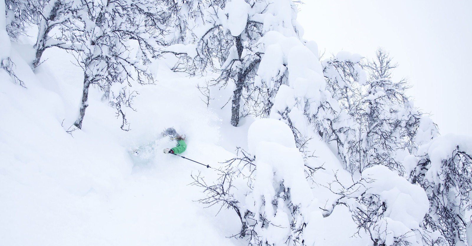 Des nouvelles de Kaj Zackrisson