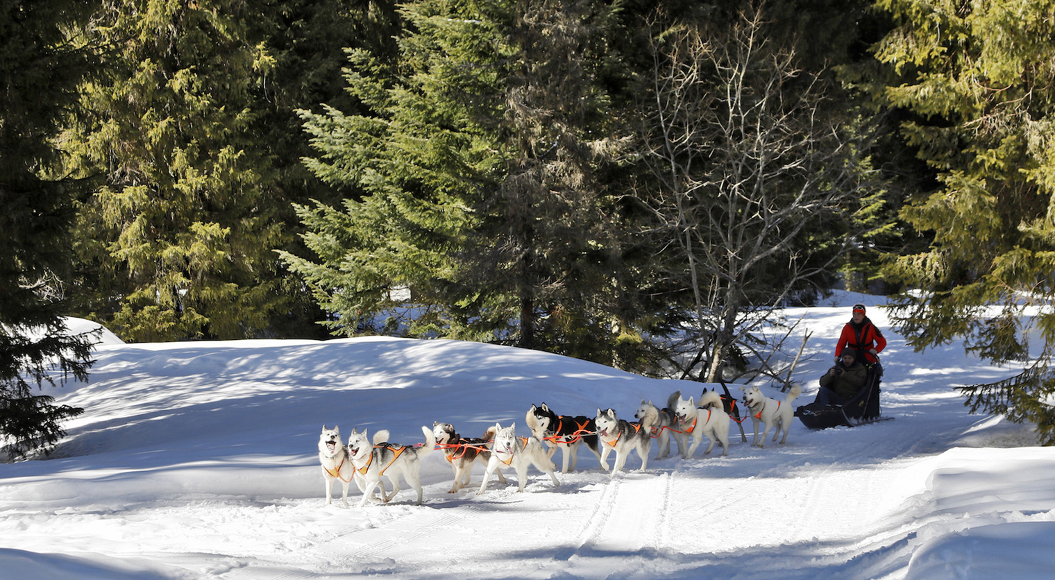 Tentez l’aventure trappeur en famille Tentez l’aventure trappeur en famille