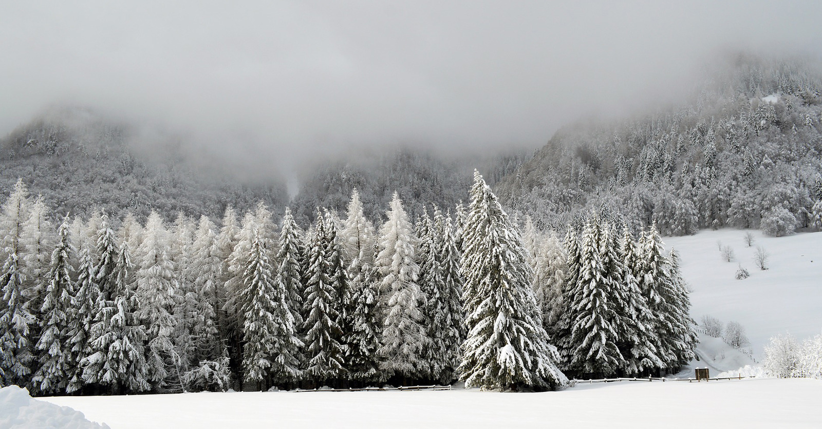 Météo Pyrénées : la neige fait son retour sur le massif