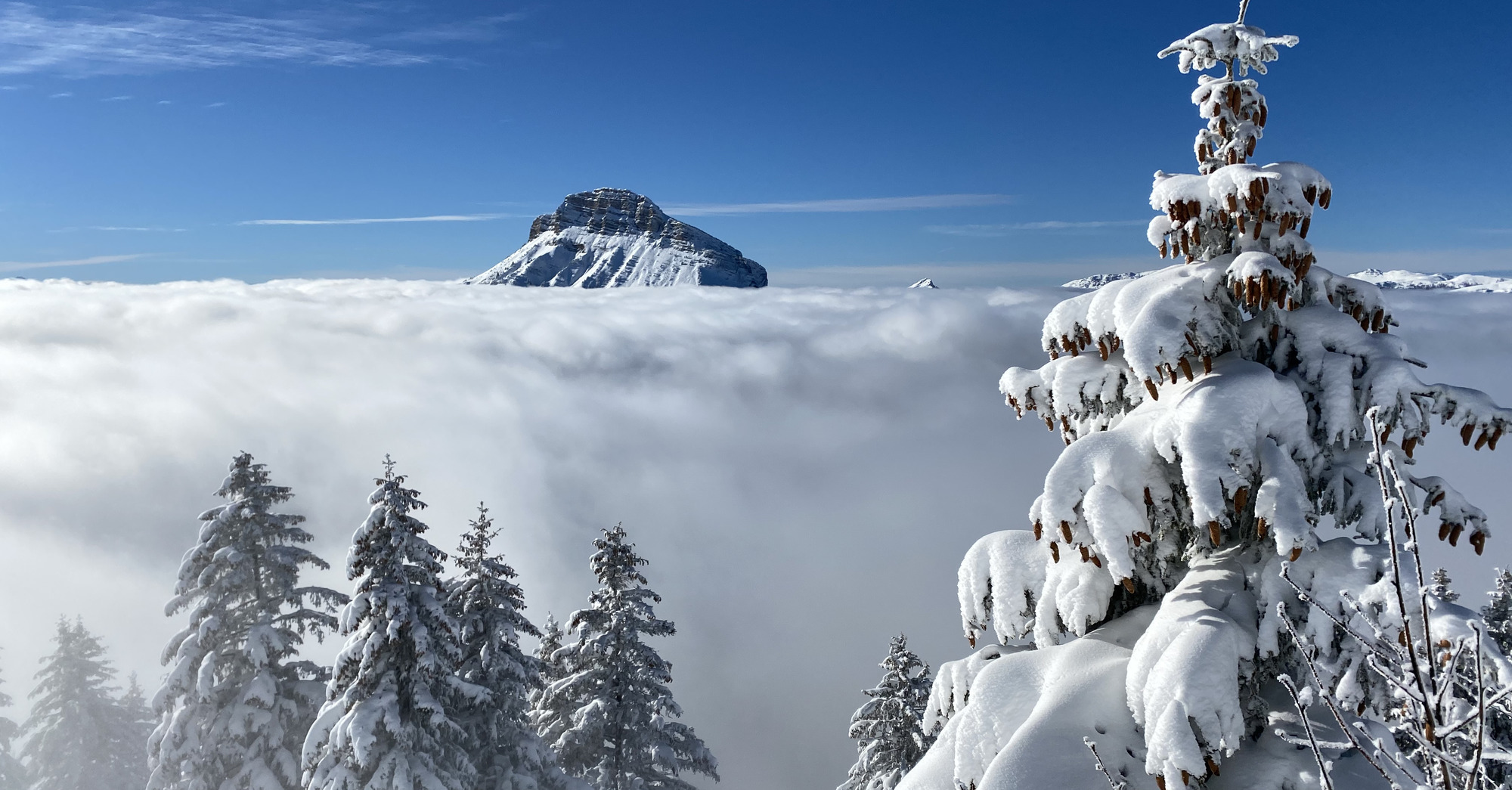 Météo Neige : De grosses quantités de neige pour finir l'année