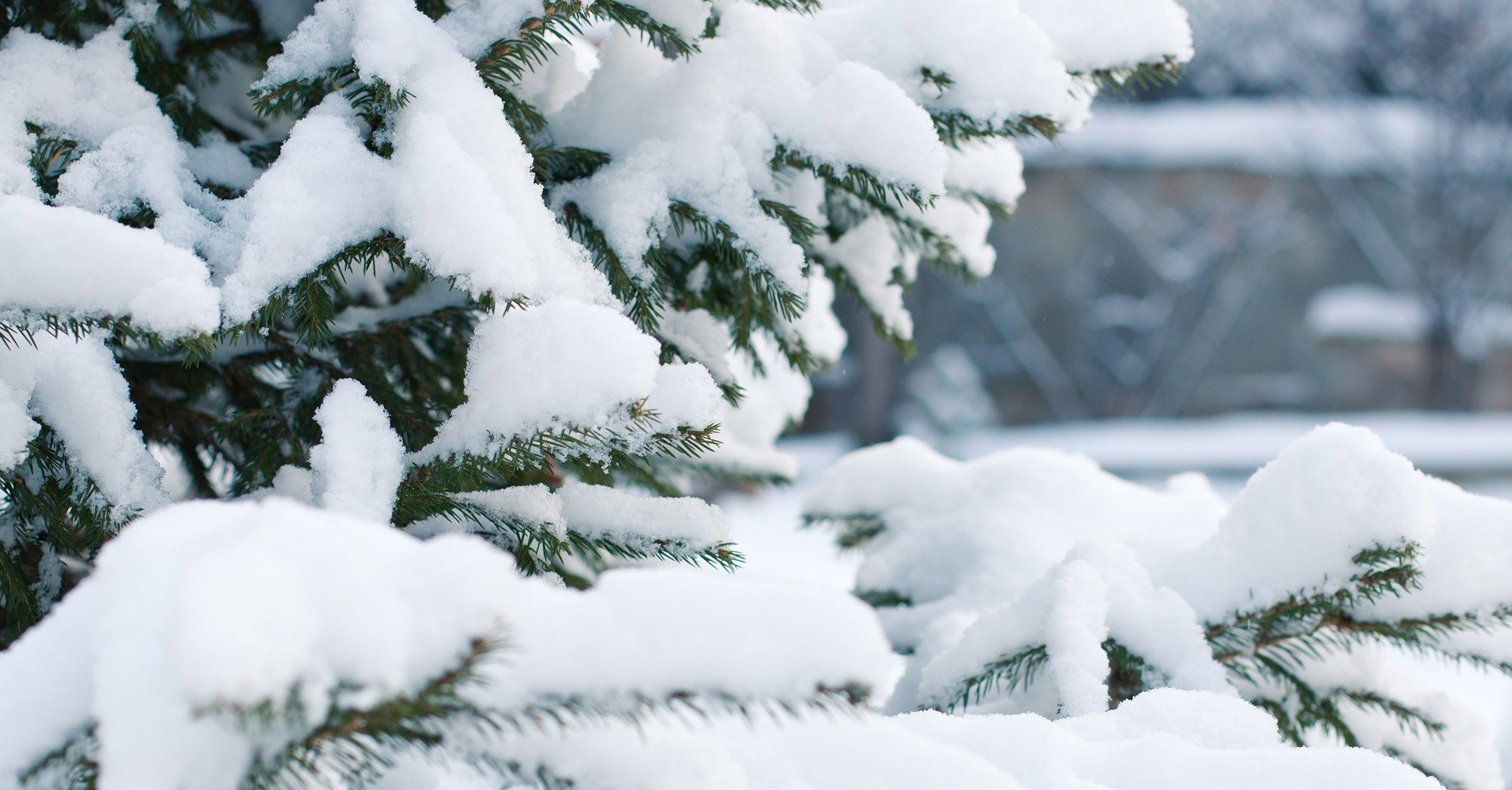 Météo : Grosse livraison de neige sur l'Est du pays cette semaine