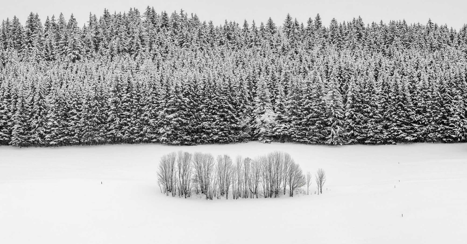 La météo du jeudi 11 février : Neige en plaine et froid ... avant le ...