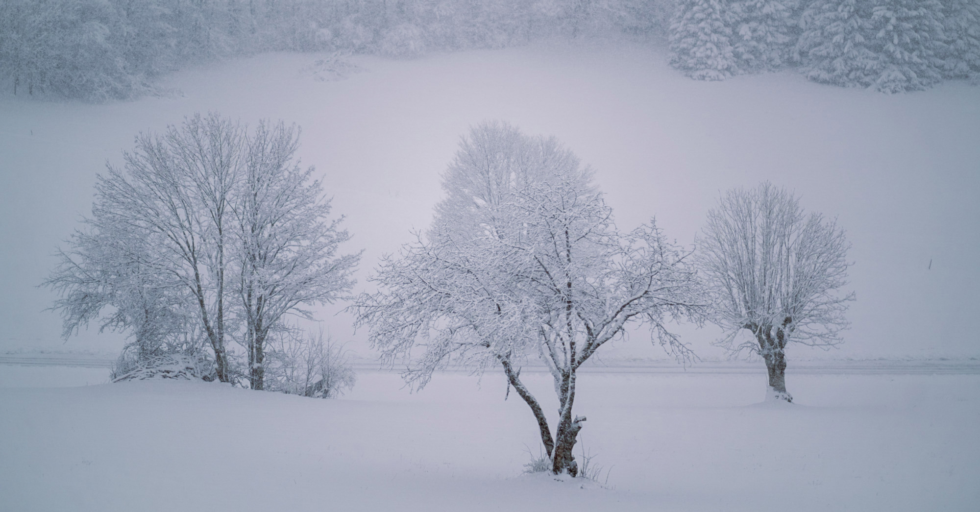 Météo du jeudi 2 janvier : Neige, puis redoux… puis neige Météo du jeudi 2 janvier : Neige, puis redoux… puis neige